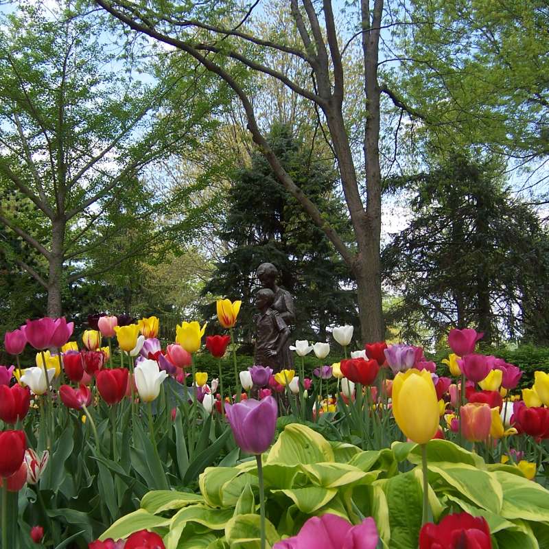 Your Official Guide For Regional Quad Cities Experiences | Visit Quad ...